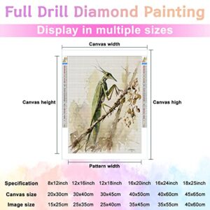 Diamond Painting Kits for Adults 5D Diamond Art Kit for Beginners, Mantis DIY Paint with Round Full Drill Diamonds Paintings Gem Art for Home Wall Decoration Gift 12x16 inch