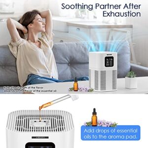 Air Purifiers for Bedroom Home Large Room 610 sq.ft, Updated AMEIFU H13 Hepa Air Purifier Cleaner with Aromatherapy for Pets Hair, Allergies, Smoke, Dust and Bad Smell (California Available)