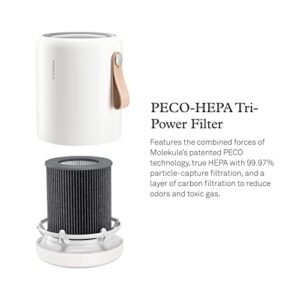 Molekule PECO-HEPA Tri-Power Filter Air Mini and Mini+ | Air Purifier Replacement Filters with PECO and HEPA Technology & Molekule Air Pre-Filter (2pk) & Molekule Air-PECO Filter, White