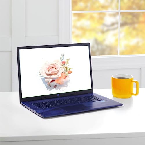 HP 2023 Newest Laptop, 17.3" HD+ Touchscreen Display, AMD Ryzen 3 5300U Processor (Beats i5-10210U), 16GB RAM, 1TB SSD, Wi-Fi 6, Backlit KB, FP Reader, Webcam, HDMI, Windows 11 Home, Blue