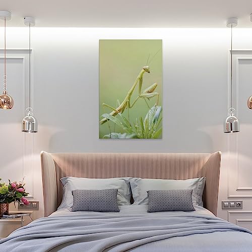 Puryzxac Beautiful Praying Mantis Insects Natural Living Room Wall Art Canvas Wall Art Prints for Wall Decor Room Decor Bedroom Decor Gifts 16x24inch(40x60cm) Frame-style