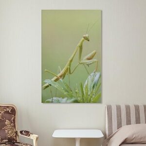 Puryzxac Beautiful Praying Mantis Insects Natural Living Room Wall Art Canvas Wall Art Prints for Wall Decor Room Decor Bedroom Decor Gifts 16x24inch(40x60cm) Frame-style