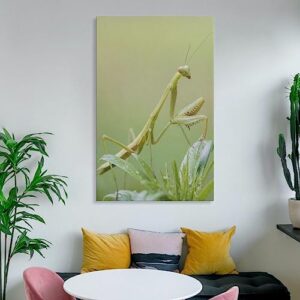 Puryzxac Beautiful Praying Mantis Insects Natural Living Room Wall Art Canvas Wall Art Prints for Wall Decor Room Decor Bedroom Decor Gifts 16x24inch(40x60cm) Frame-style