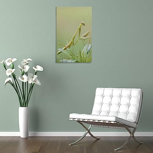 Puryzxac Beautiful Praying Mantis Insects Natural Living Room Wall Art Canvas Wall Art Prints for Wall Decor Room Decor Bedroom Decor Gifts 16x24inch(40x60cm) Frame-style