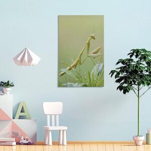 Puryzxac Beautiful Praying Mantis Insects Natural Living Room Wall Art Canvas Wall Art Prints for Wall Decor Room Decor Bedroom Decor Gifts 16x24inch(40x60cm) Frame-style