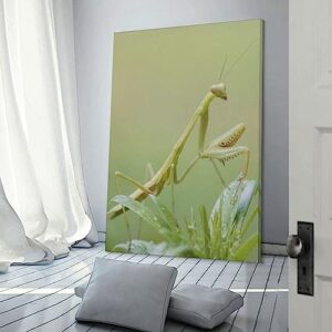 Puryzxac Beautiful Praying Mantis Insects Natural Living Room Wall Art Canvas Wall Art Prints for Wall Decor Room Decor Bedroom Decor Gifts 16x24inch(40x60cm) Frame-style