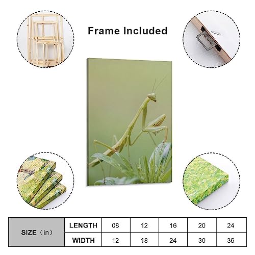 Puryzxac Beautiful Praying Mantis Insects Natural Living Room Wall Art Canvas Wall Art Prints for Wall Decor Room Decor Bedroom Decor Gifts 16x24inch(40x60cm) Frame-style