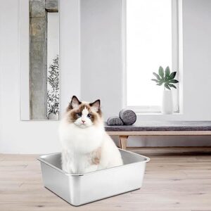 IEUDNS Cat Litter Box Metal Kitten Litter Pan Rounded Corners Lightweight Smooth Edge Scratchproof Rustproof Top Open Kitten Toilet, 60x40x15cm