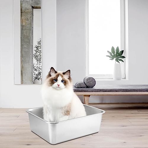 IEUDNS Cat Litter Box Metal Kitten Litter Pan Rounded Corners Lightweight Smooth Edge Scratchproof Rustproof Top Open Kitten Toilet, 60x40x15cm