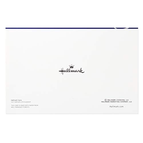 Hallmark Boxed Holiday Cards, Happy Holidays (40 Blue and Silver Cards with Envelopes) (1XPX5163)