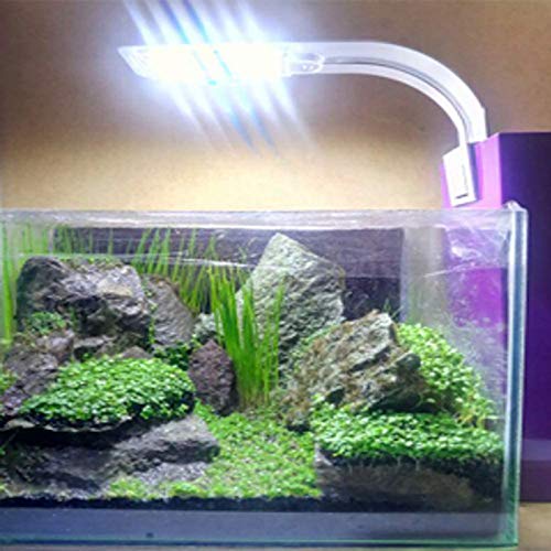 IC INSTANT COACH 10W Super Slim Aquarium Fish Tank 5730 LED Light Clip-on Lamp Aquatic Plant Lighting (White Body White+Blue Light)