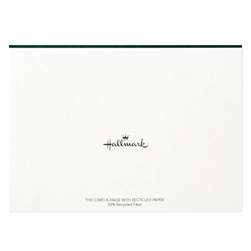 Hallmark Boxed Christmas Cards Assortment, Holiday Icons (48 Cards with Envelopes) (1XPX5173)