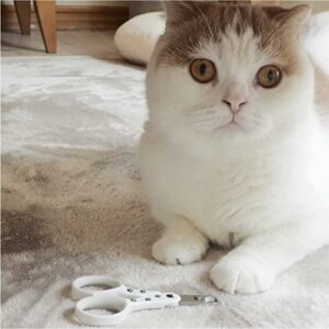 Purrcision Feline Cat Nail Clippers Stress-Free, Expertly Crafted in Japan, Neater, Easier, Safer, 30% Thinner Blades, No.1 Seller in Japan!