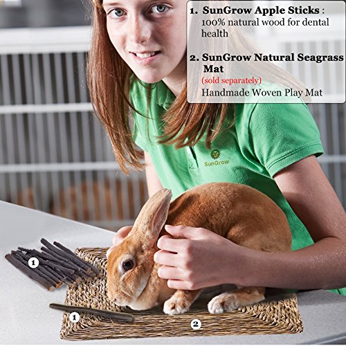 SunGrow Apple Sticks, 200g (7 oz) Wood Chew Sticks for Rabbits, Chinchillas, Bunny, Hamster, Squirrel, Guinea Pigs, 6" Small Animals Molar Pet Chew Toys Treat Sticks for Teeth Grinding, 40 Per Pack