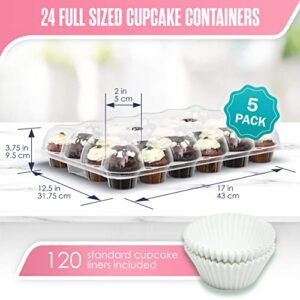 Cupcake Boxes 24 Count, Cup Cake Containers, Travel Carrier, 5 Pack (120 Compartment), Full Size, Tall Dome, Clear, PET Plastic, Disposable, Tray With Lid, Cupcakes Transport Holder, Houseables