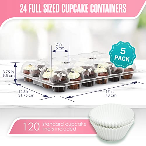 Cupcake Boxes 24 Count, Cup Cake Containers, Travel Carrier, 5 Pack (120 Compartment), Full Size, Tall Dome, Clear, PET Plastic, Disposable, Tray With Lid, Cupcakes Transport Holder, Houseables