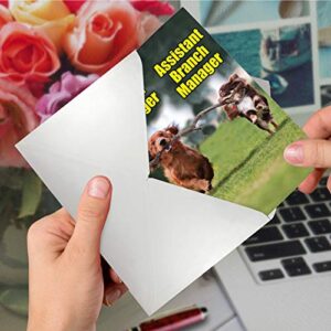 NobleWorks - 1 Adorable Birthday Card Funny - Pet Dog Animal Humor, Bday Notecard with Envelope - Branch Managers C4672BDG