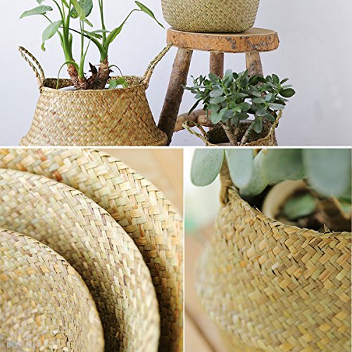 Natural Craft Extra Large Size(16x16x15 inches) Seagrass Belly Basket for Storage, Laundry, Picnic and Woven Straw Beach Bag - Plant Pots Cover Indoor Decorative