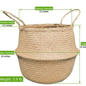 Natural Craft Extra Large Size(16x16x15 inches) Seagrass Belly Basket for Storage, Laundry, Picnic and Woven Straw Beach Bag - Plant Pots Cover Indoor Decorative