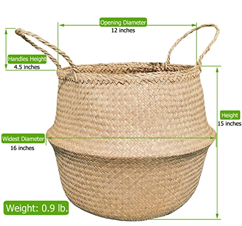 Natural Craft Extra Large Size(16x16x15 inches) Seagrass Belly Basket for Storage, Laundry, Picnic and Woven Straw Beach Bag - Plant Pots Cover Indoor Decorative