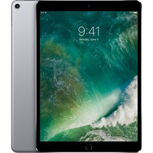 apple 10.5in ipad pro 256gb, wi-fi, space gray mpdy2ll/a (renewed)