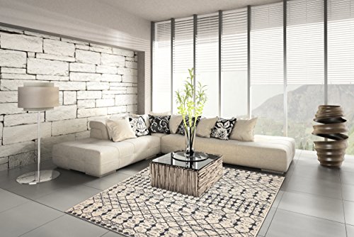 St. Croix Trading Company Isabella Home Area Rug, 8x10', Cream