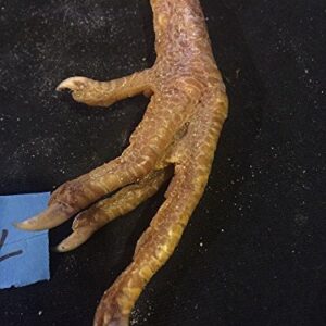 2 Real Chicken Feet Taxidermy Arts Witchcraft Spell Voodoo Hoodoo