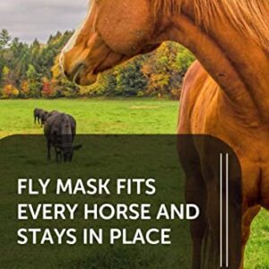 Kensington Horse Fly Mask with Protective Mesh and Plush Fleece Ears- Protection from Bites and Perfect for Wound Recovery, Pony, Lavender Mint