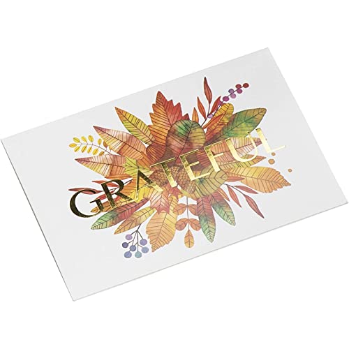 48 Pack Bulk Thanksgiving Greeting Cards and Kraft Envelopes, 6 Fall Designs, Blank Inside (4 x 6 In)