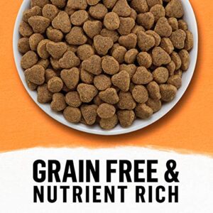 Purina Beyond Grain Free, Natural Dry Cat Food, Grain Free White Meat Chicken & Egg Recipe - 16 Lb. Bag