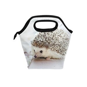 senya lunch bag hedgehog printed neoprene tote reusable insulated waterproof school picnic carrying gourmet lunchbox container organizer for men, women, adults, kids, girls, boys