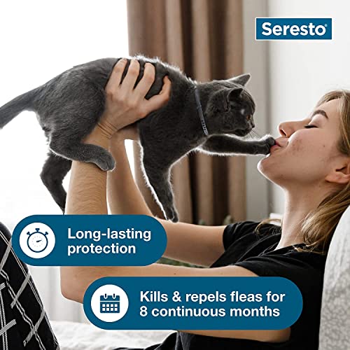 Bayer Seresto Flea and Tick Collar for Cat, all weights, 2 Pack