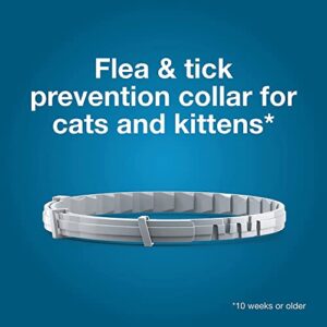 Bayer Seresto Flea and Tick Collar for Cat, all weights, 2 Pack