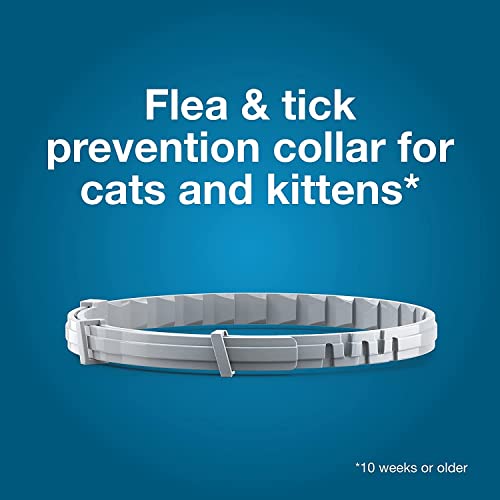 Bayer Seresto Flea and Tick Collar for Cat, all weights, 2 Pack