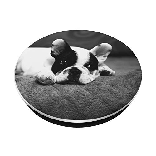 Pop Socket French Bulldog Girls Boys Men Women PopSockets PopGrip: Swappable Grip for Phones & Tablets