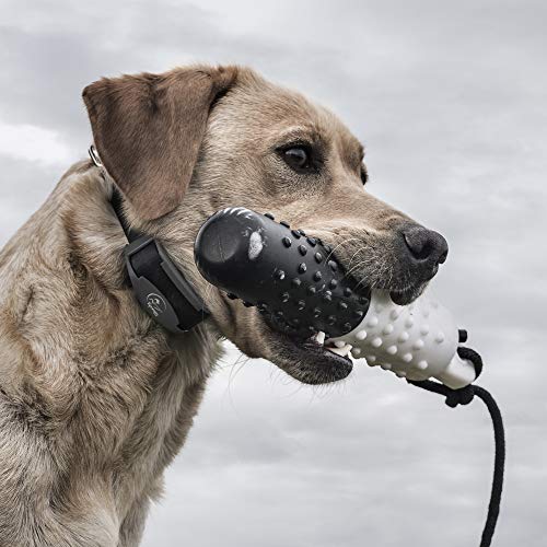 SportDOG Brand FieldTrainer 425X Remote Trainer - Rechargeable Dog Training Collar with Shock, Vibrate, and Tone - 500 Yard Range - SD-425X