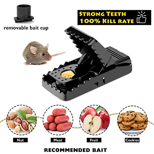 Mouse Trap, Mouse Traps That Work Small Mice Trap Outdoor Indoor Best Snap Traps for Mouse/Mice Safe and Reusable 6 Pack Quick Kill Mice Traps