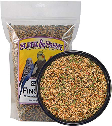 Garden Finch Bird Food (2 lbs.)