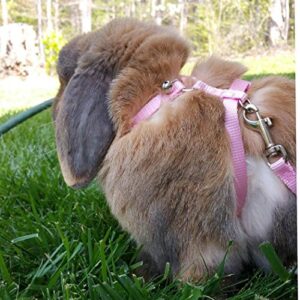 Rabbit Bunny Harness with Leash Adjustable Soft Nylon Harness Rabbit Vest Harness Lead Leash Pink Blue Lead Leash All Season for Small Animals (Pink)