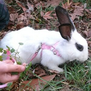 Rabbit Bunny Harness with Leash Adjustable Soft Nylon Harness Rabbit Vest Harness Lead Leash Pink Blue Lead Leash All Season for Small Animals (Pink)