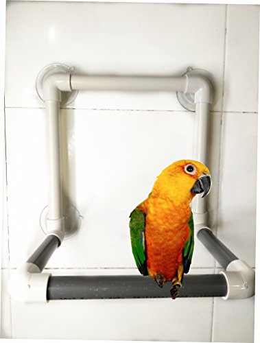 Hypeety Bird Portable Suction Cup Parrot Shower Perch Window Standing Platform Shower Bath Toy for Bird Parrot Macaw Cockatoo African Greys Budgies Parakeet Cockatiel