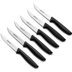 ARCOS Knife Set 4 Inch Nitrum Stainless Steel and 202 mm blade. Professional Knife for Peeling Fruits and Vegetable. Ergonomic Polyoxymethylene Handle and 110 mm Blade. Series Universal. Color Black.