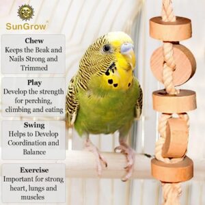 SunGrow Parakeet Wooden Chew Toy, Hanging Wood Cookies for Pecking and Chewing, Great for Parrots, Macaws, African Grays & Conures, 1 Pack