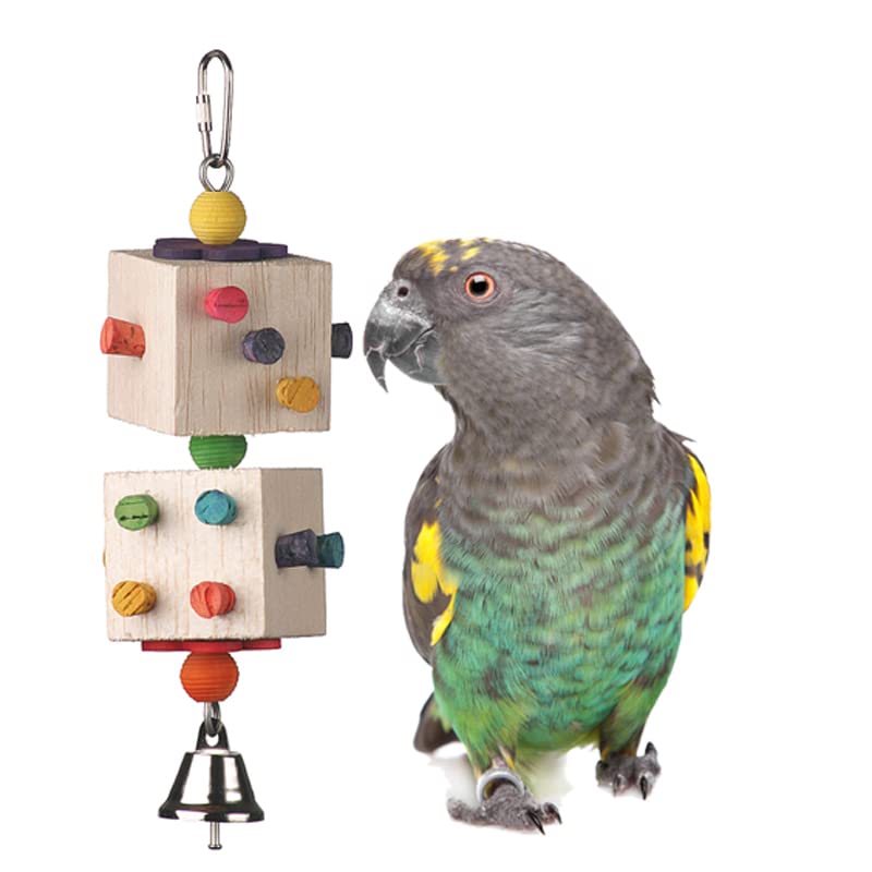 Super Bird Creations SB1103 Parrot-Dice Bird Toy, Medium Bird Size, 9" x 2.5" x 2.5"