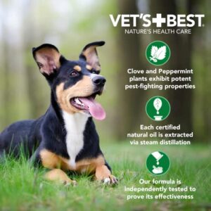 Vet’s Best Flea & Tick Advanced Strength Dog Shampoo - Dog Flea and Tick Treatment - Plant-Based Formula - Certified Natural Oils - 12 oz