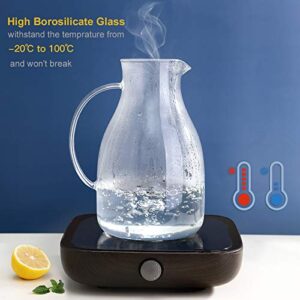 85 Ounces Glass Pitcher with Filter Lid/Water Carafe for Homemade Juice & Iced Tea,Stovetop Safe Beverage Jug