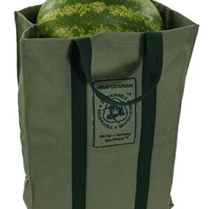 Hemp Go Green 100% Hemp Canvas Washable Heavy Duty Reusable Shopping Bag