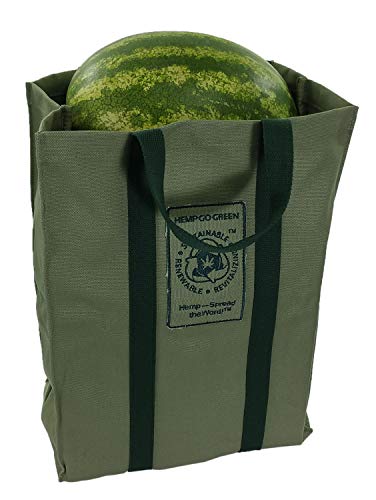 Hemp Go Green 100% Hemp Canvas Washable Heavy Duty Reusable Shopping Bag