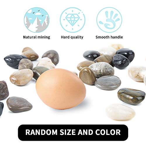 OUPENG Pebbles Polished Gravel, Natural Polished Mixed Color Stones, Small Decorative River Rock Stones 2 Pounds (32-Oz)