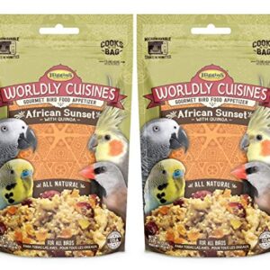 Higgins 2 Pack of Worldly Cuisines African Sunset Bird Treat, 2 Ounces Each